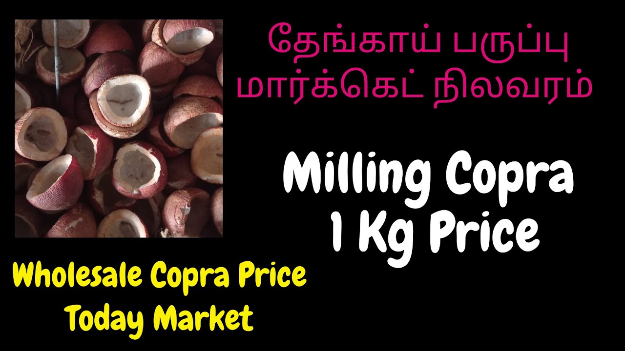 05 July 2023 Wholesale Copra Price Today Market | Thengai Paruppu Vilai ...