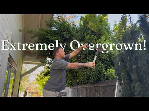 Trimming the Hedge + Sealing the New Gate