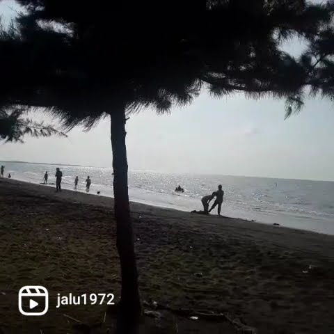 Pantai pulo putri Cikong Segarjaya, Kec. Batujaya, Karawang, Jawa Barat ...