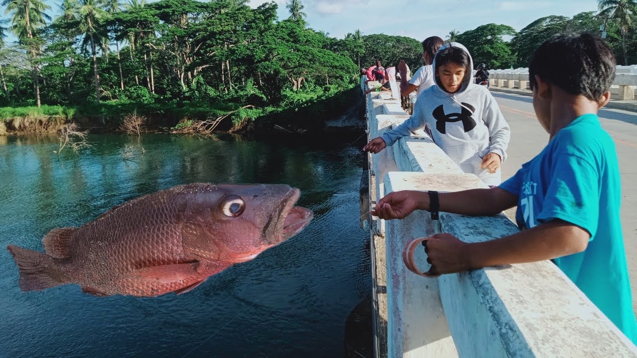 BIG FISH CATCHED BY FISHERMAN | MALAKING ISDA SA ILALIM NG TULAY ...