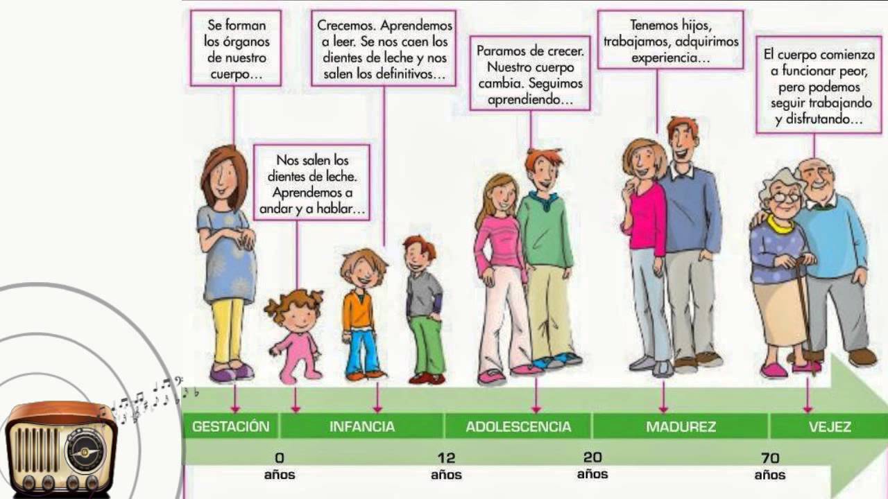 ¿por que a medida que crecemos cambiamos? - YouTube