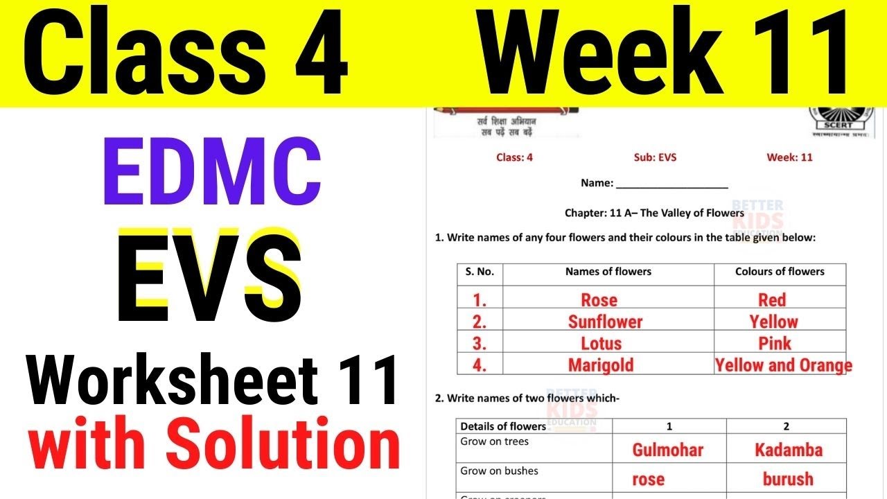 EDMC Class 4 EVS Week 11 Worksheet 11 / class 4th EVS worksheet 11 with Solution Week 11 - YouTube