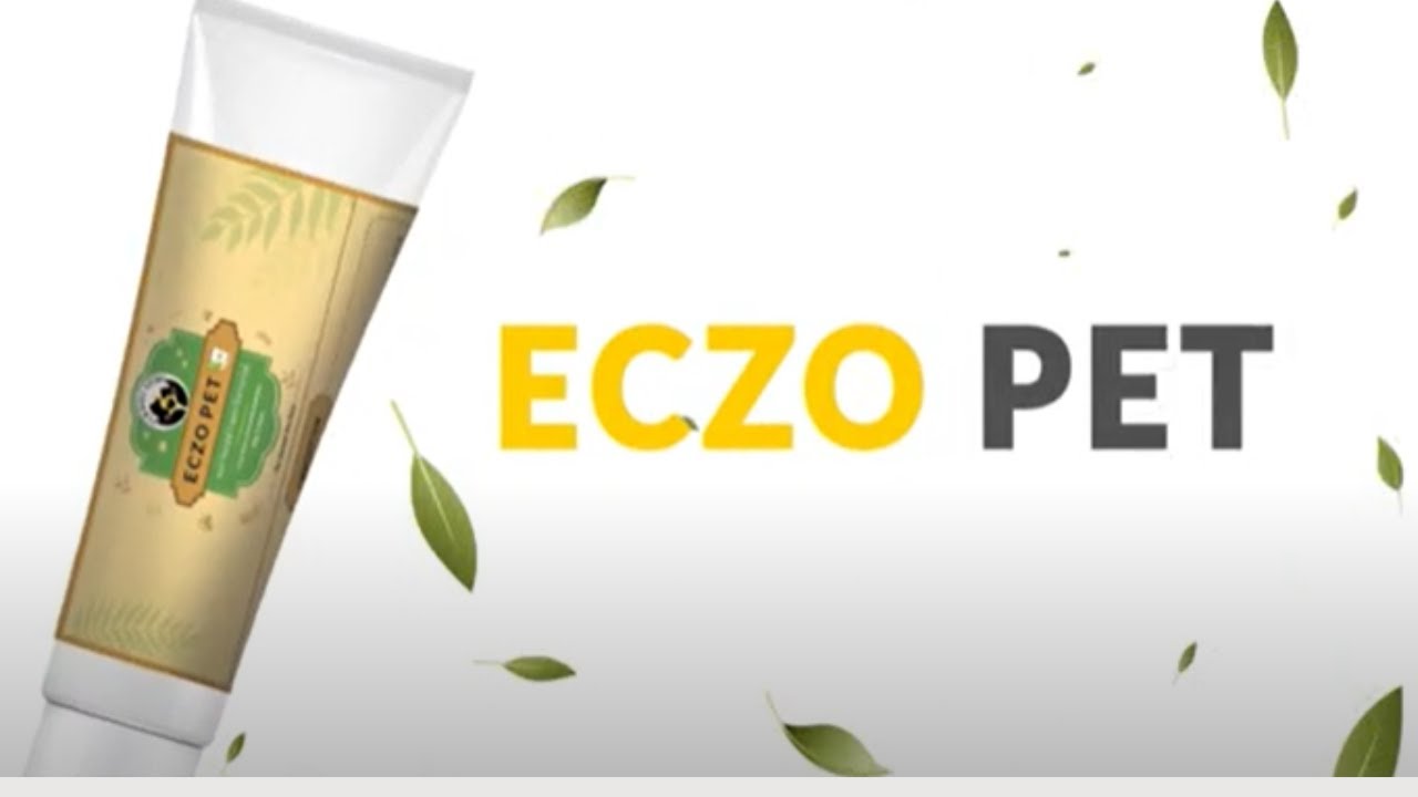 Eczo Pet Cream: Treats Skin Infections In Dogs & Cats - YouTube