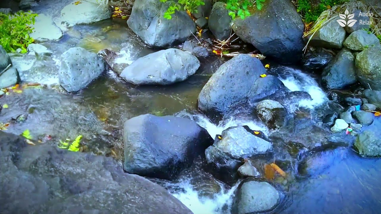 Beautiful Forest Sounds (10 hours) Babbling Brook, Nature Sounds - YouTube