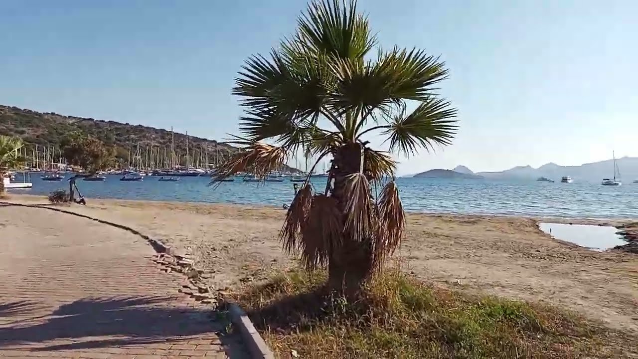 BİTEZ HALK PLAJI - BODRUM BİTEZ PLAJI - Halk Pjaji Bitez Beach Bodrum ...