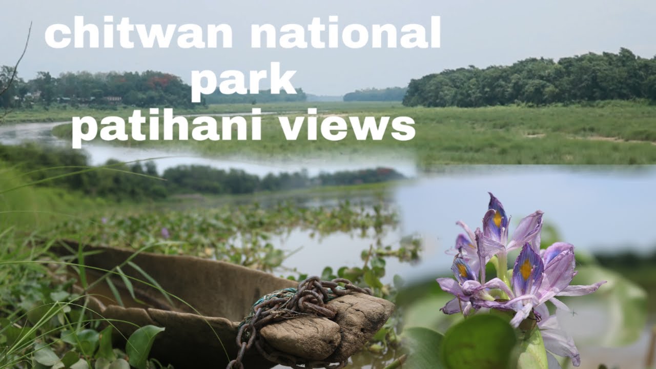 Explore patihani ||chitwan national park ||rapti river side|| short ...