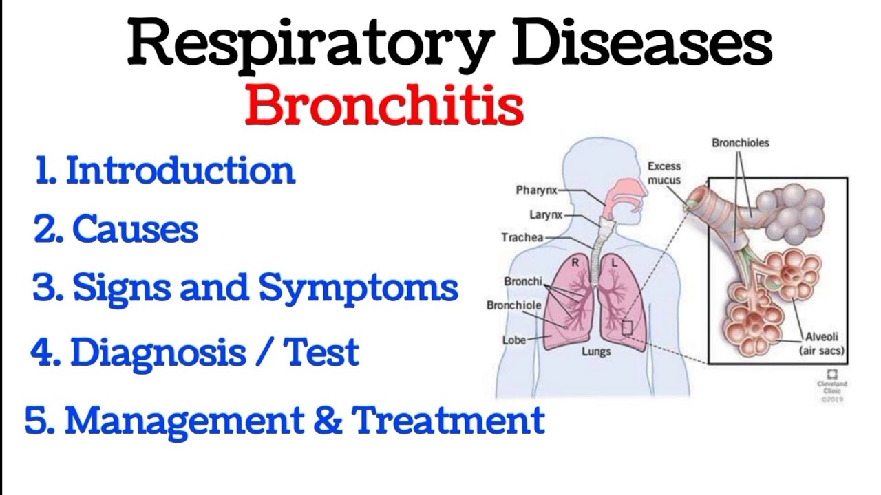 Bronchitis || Respiratory Diseases || Introduction, cause, signs ...