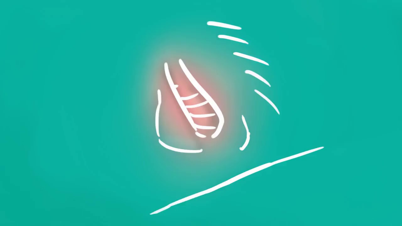 Full coloured stop motion animation - YouTube