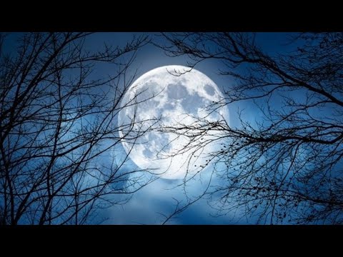 Yoga - Saluto alla Luna (Chandra Namaskara)