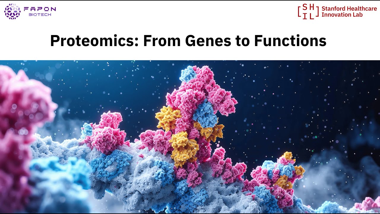 Yingming Zhao, PhD | Biochemistry and Function of Lys Lactylation ...