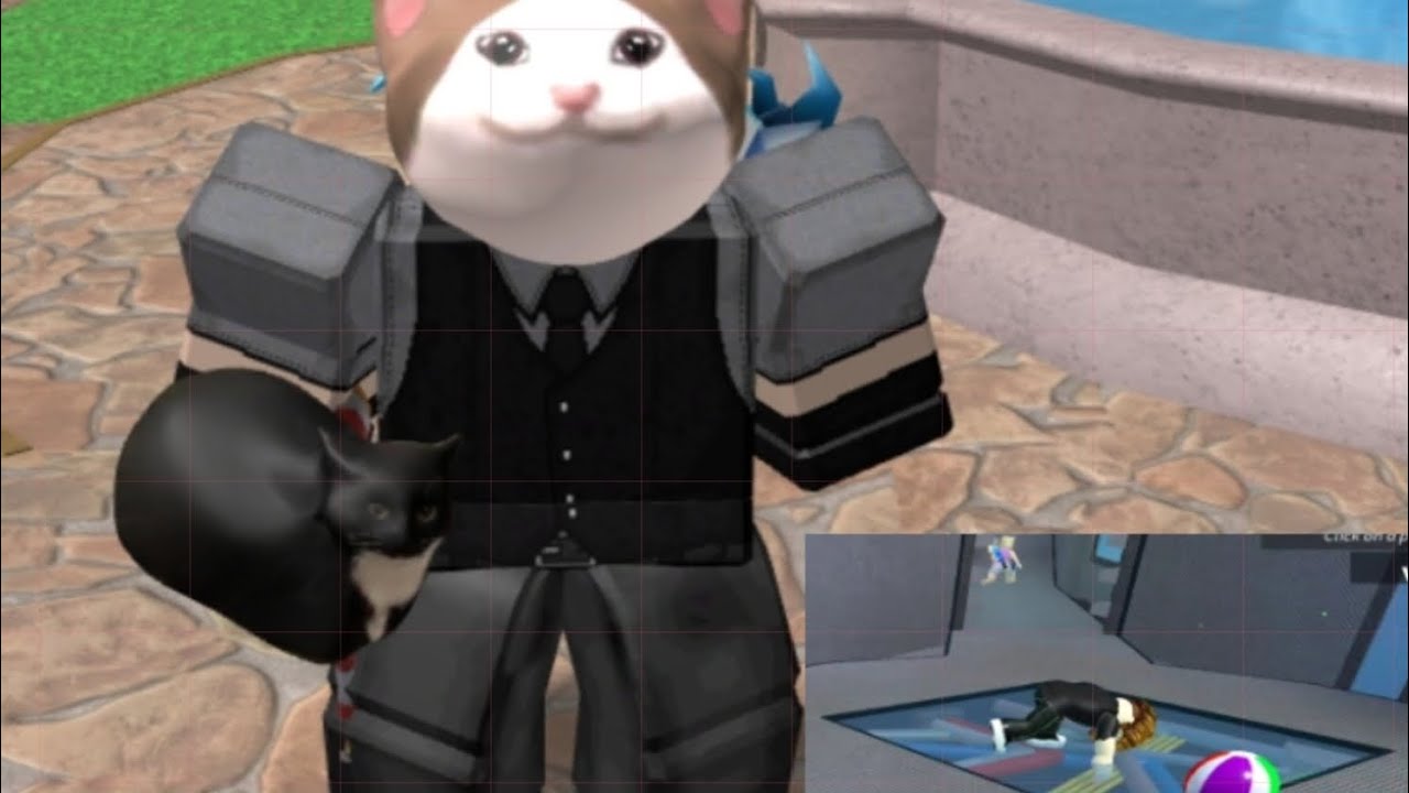 Pop cat play MM2 MeMe - YouTube