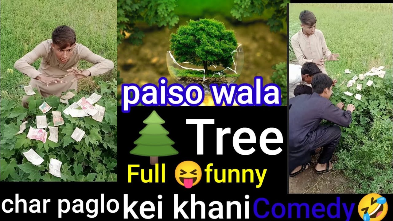 paiso wala tree Paglo ko chuna lgaya 10hzaar - YouTube