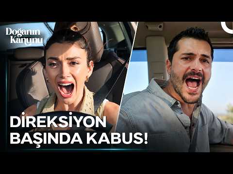 Hepimizi Korkutan Kaza! - Doğanın Kanunu