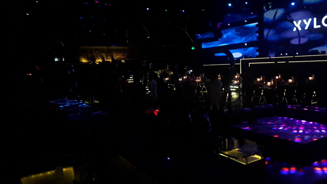 Xylo at The Palace - YouTube