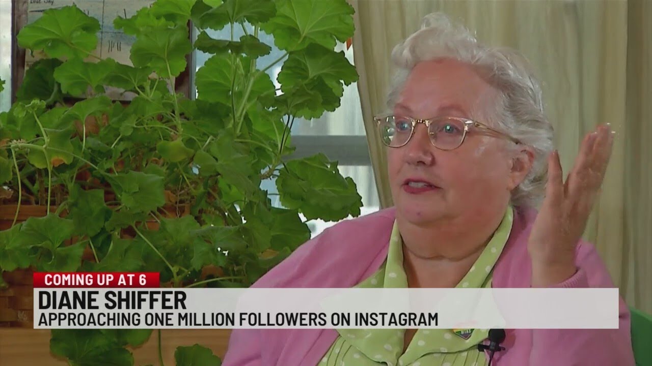 Insta-famous 67-year-old from Albion invited to White House - YouTube