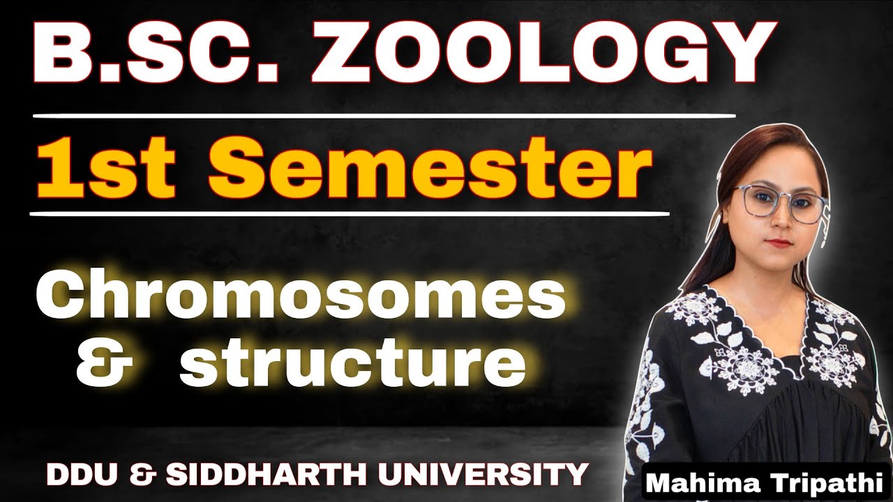 L-5| Chromosomes and it's Structure | B.Sc.Zoology 1st Semester| Mahima ...