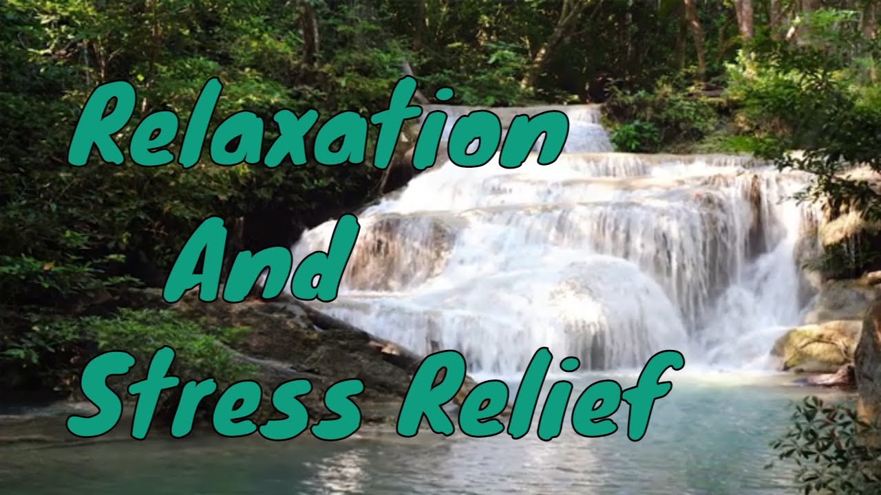 40 mins of Relaxation and Stress Relief Music - YouTube