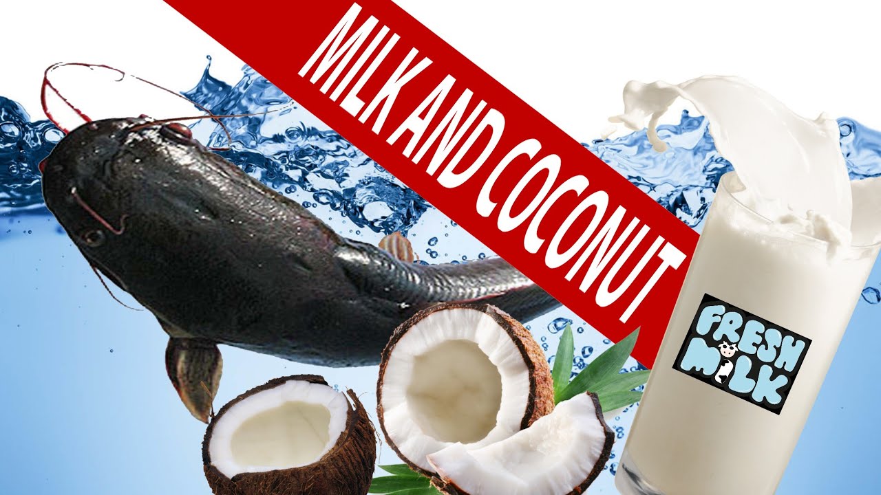 Amazing Technology | Experiment Fishing Coconut and Milk Catch A Lot of ...