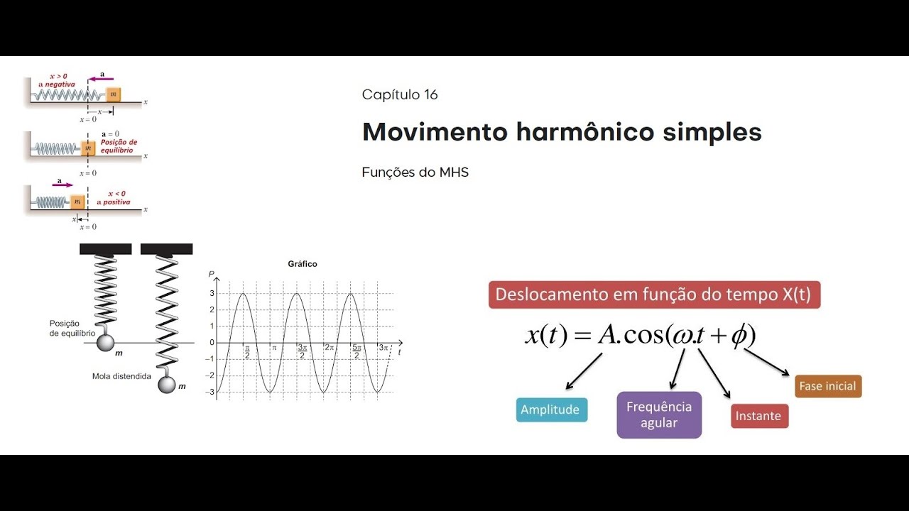 MHS II EX04 Observe as quatro representações gráficas da elongação em ...