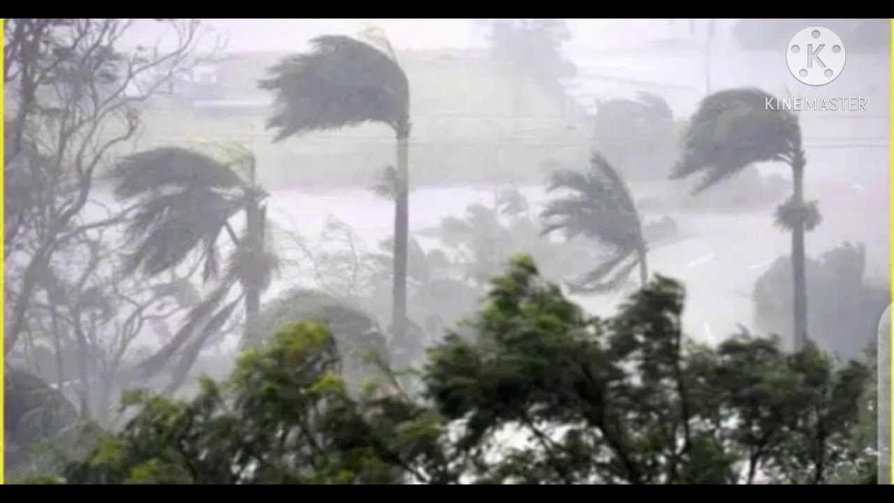 Tropical Cyclone Nivar, affect on Odisha - YouTube