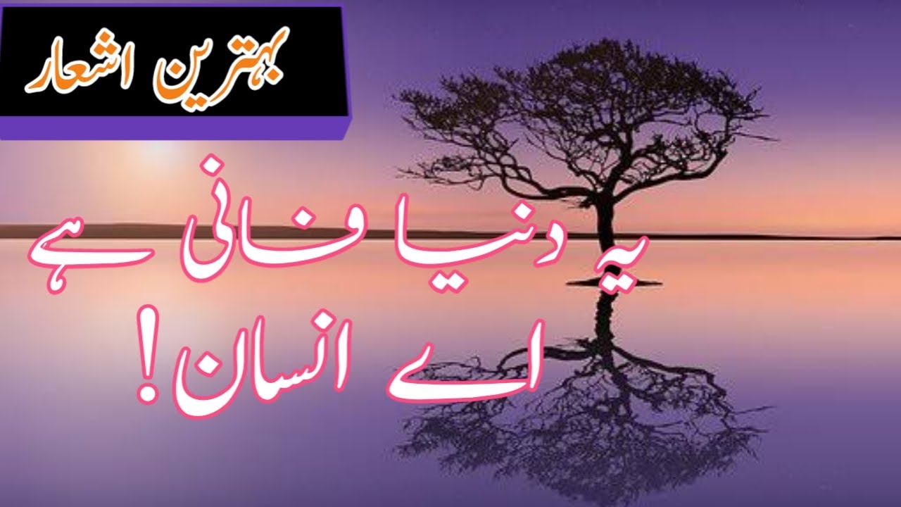Ye Dunya Fani Hai Ay Insan || Best Quotes || Best Shayari || ROSHAN ...