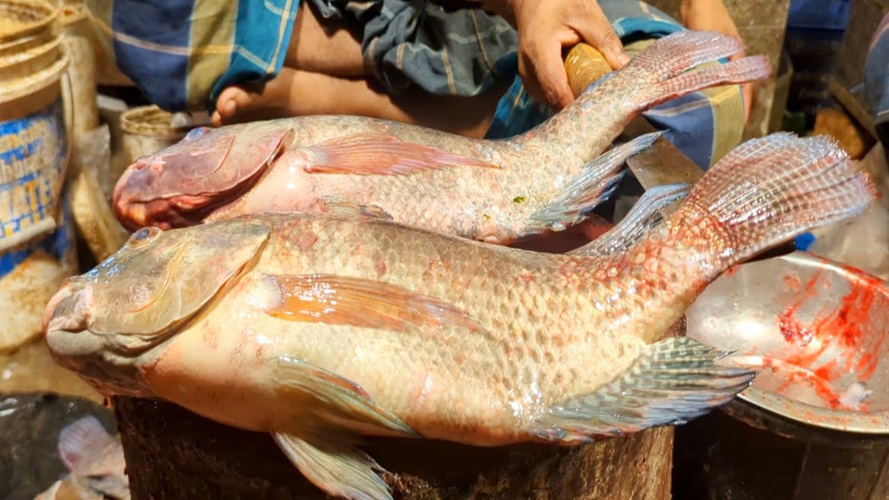 Amazing Tilapia Fish Cutting Skills In Bangladesh Fish Market | Fish ...