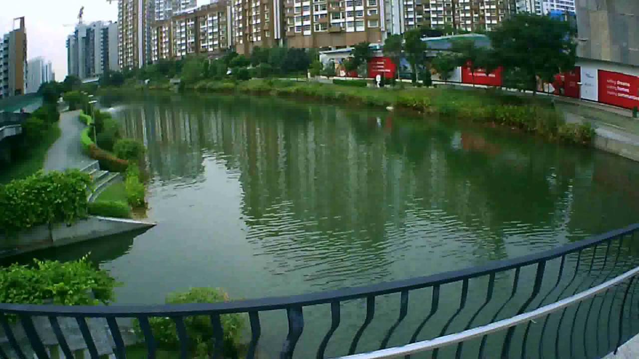 The PCN Cycling Route To Punggol Waterway. Full Clips - YouTube