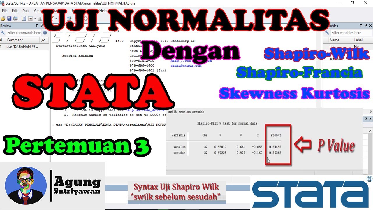 Uji Normalita Data Menggunakan STATA - YouTube
