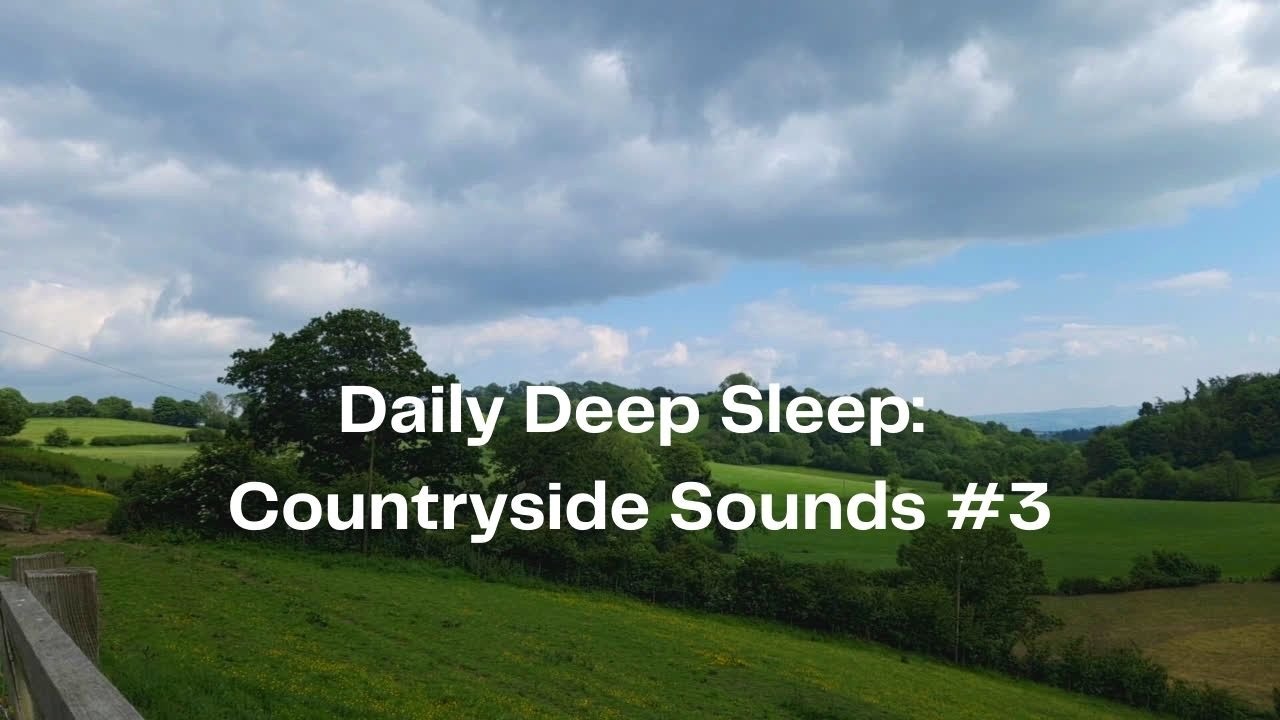Daily Deep Sleep with Countryside Sounds: Seasonal Views & Natural ...