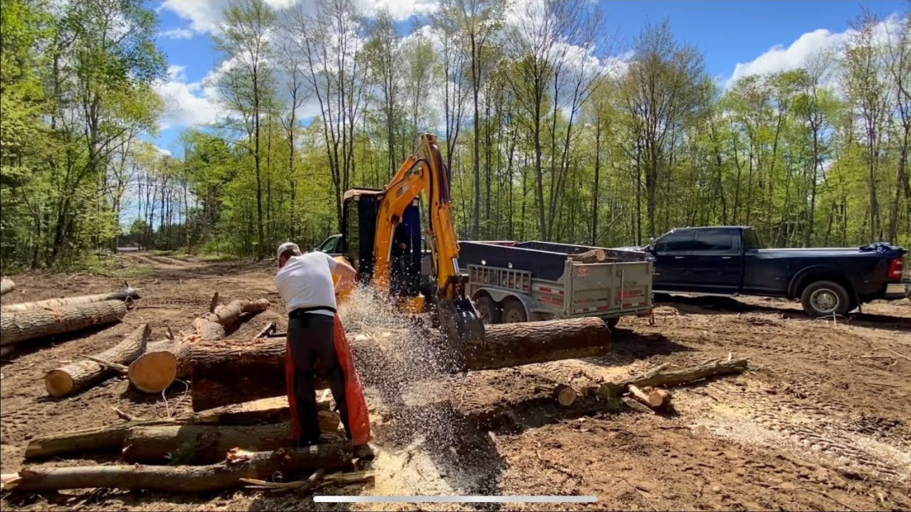 Easy Firewood! Oak, Black Locust, Birch & More! #50 - YouTube