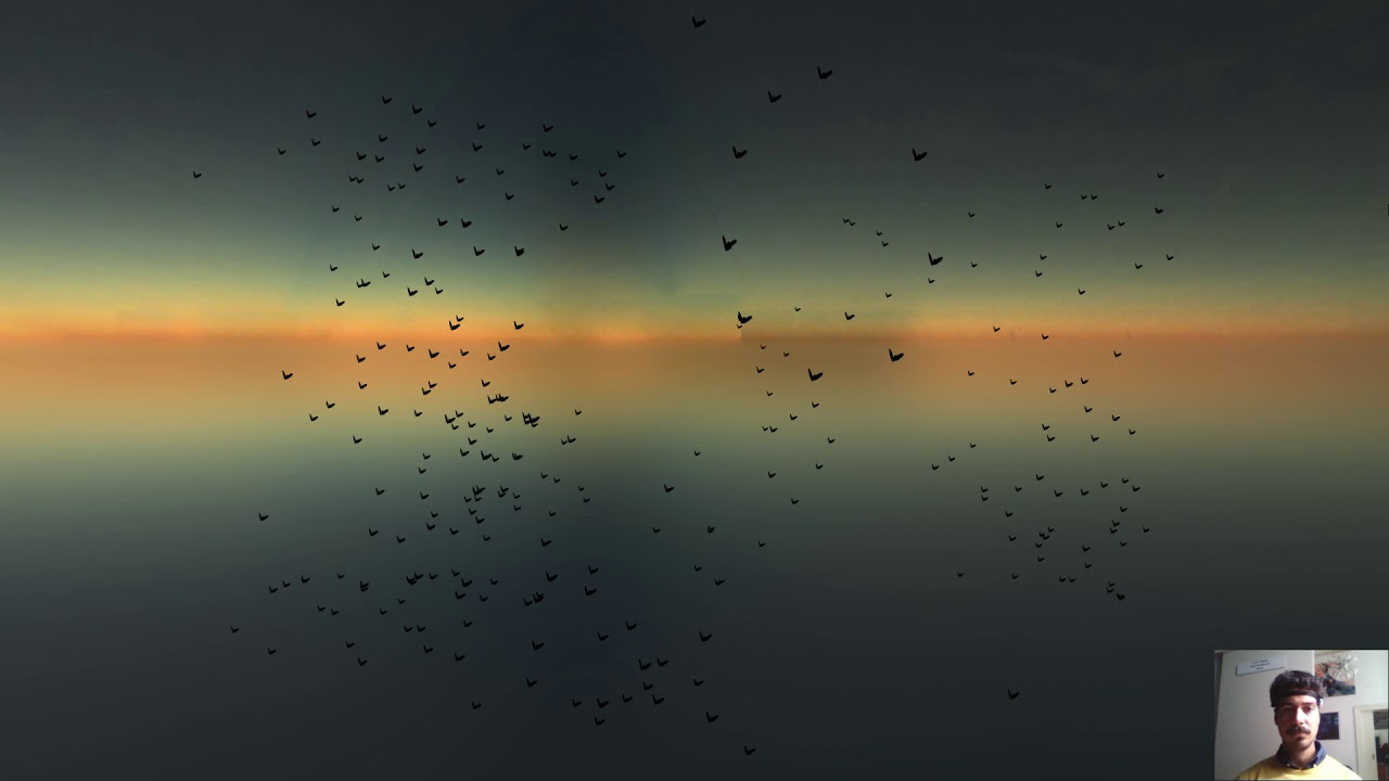 Controlling Birds with an EEG Device in Max/MSP - YouTube