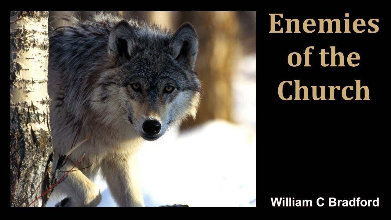 Enemies of the Church - William Bradford - YouTube