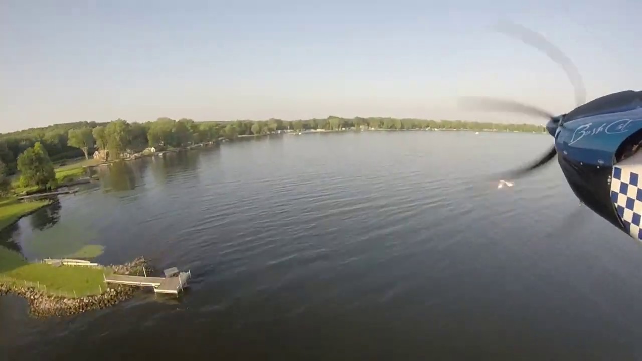 BushCat Along The North Shore 20200708 - YouTube