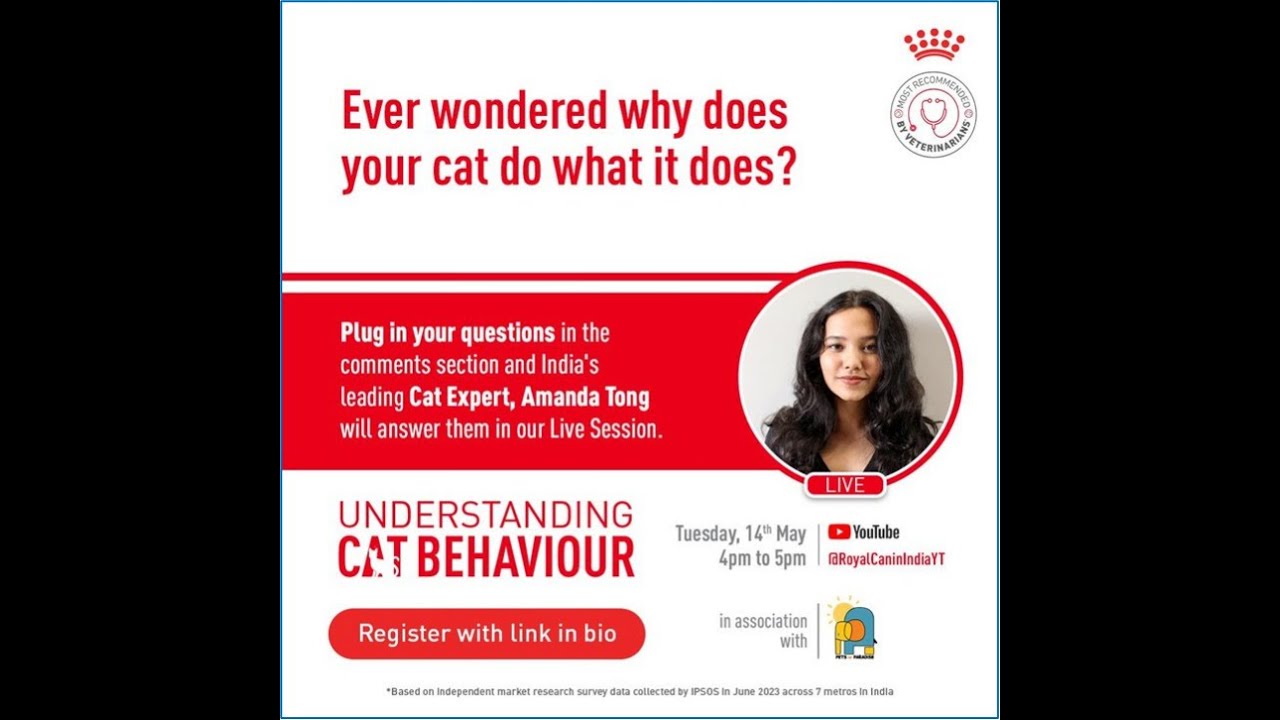 Understanding Cat Behaviour with Amanda Tong | Royal Canin - YouTube