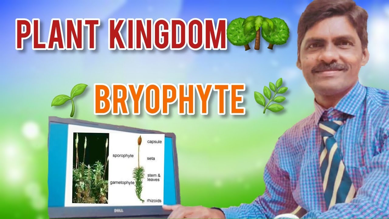 Bryophyta|| Plant Kingdom||Shaik Altaf #bioneet #neet - YouTube
