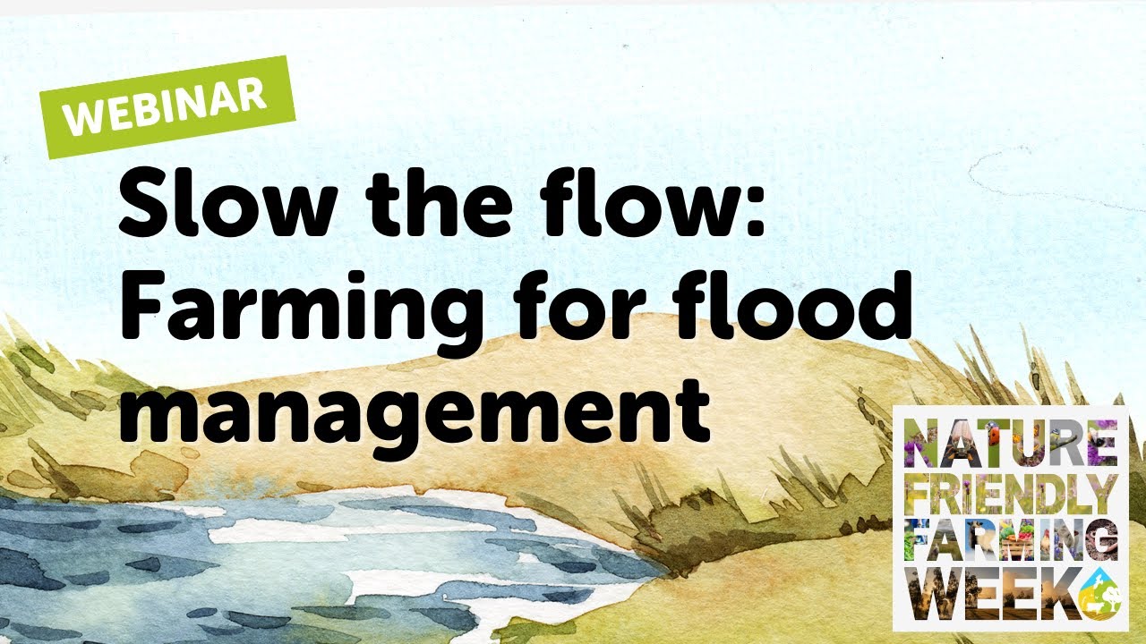 Slow the flow: Farming for flood management - YouTube