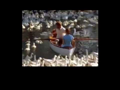 SI TU NO VUELVES - Miguel bose y shakira (DIARIO DE UNA PASION) - YouTube
