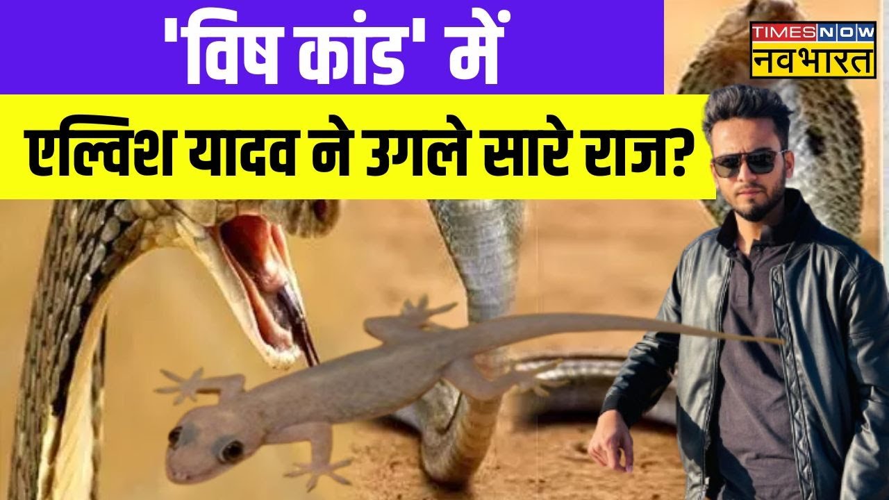 Elvish Yadav News: सबूतों में सांप-छिपकली...हेकड़ी निकली! | Snake Venom ...