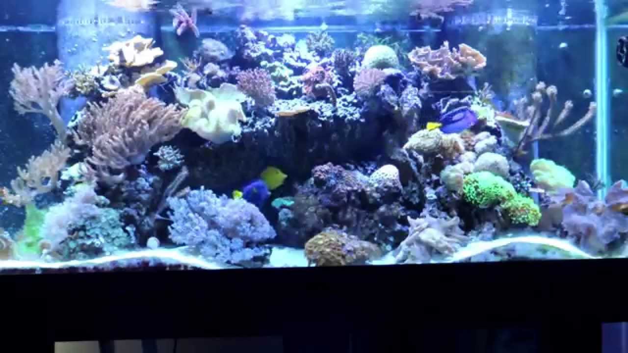 Tips for Preventing a Tank Crash - YouTube