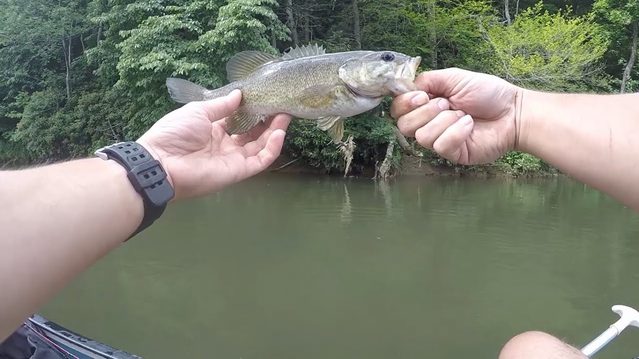Coleman Crawdad Adventures Ep.1 || North Fork New River-Ashe County, NC ...