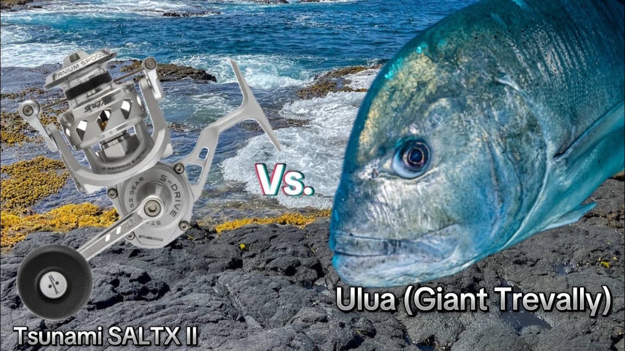 Tsunami SALTX II Tested Against Hawaiian Fish | Ulua & Omilu | My ...