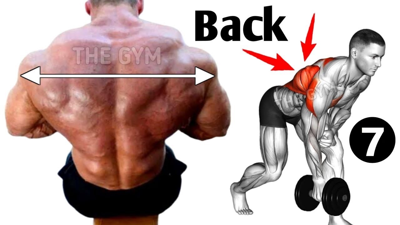 7 Best Back Exercises for Muscle Growth#back - YouTube