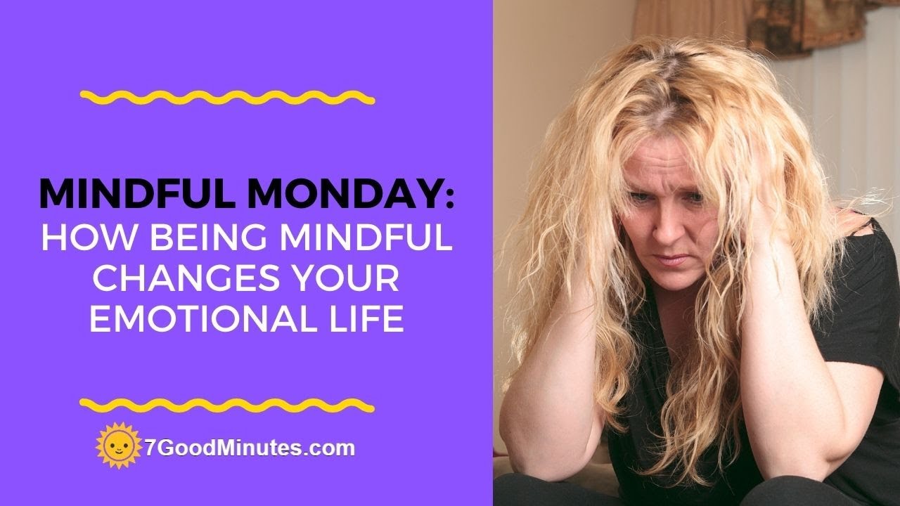 How Being Mindful Changes Your Emotional Life - YouTube
