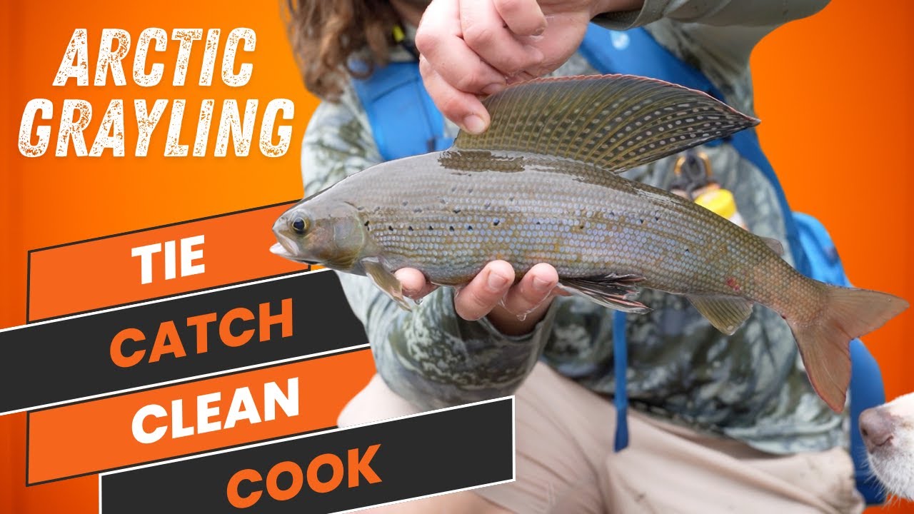 Tie, catch, clean, cook | ARCTIC GRAYLING - YouTube