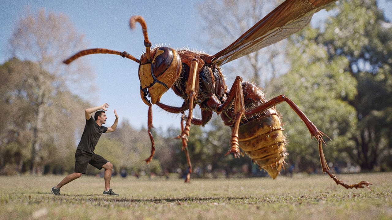 Would You Survive If Insects Turned Giant? - YouTube