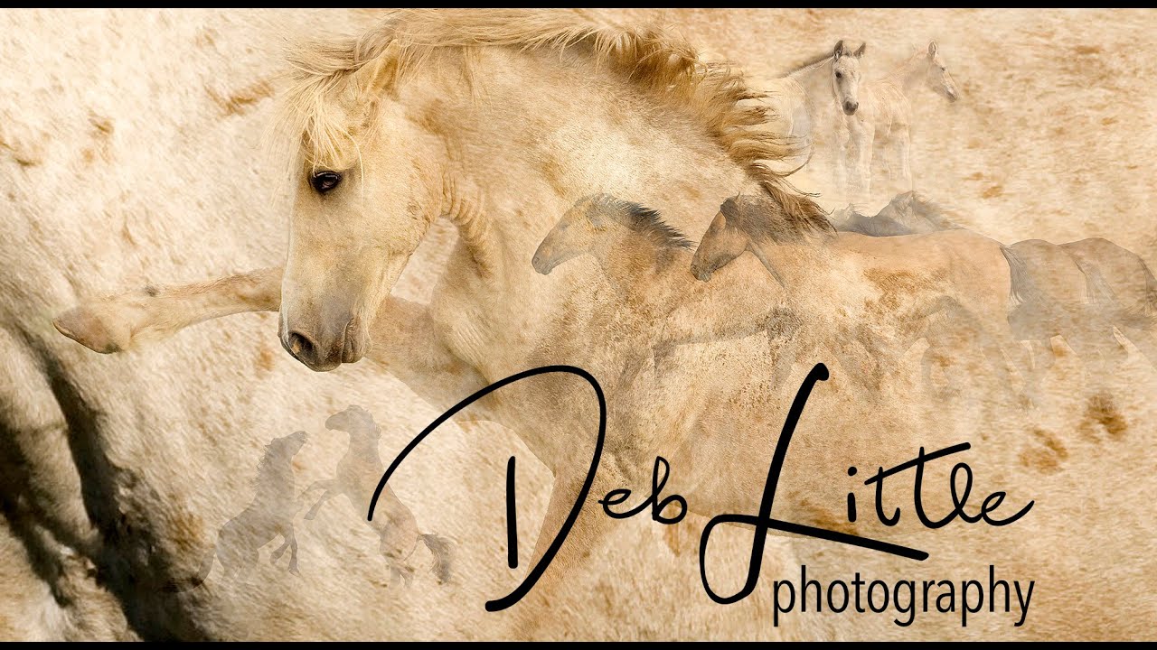 Adventure Awaits - Deb Little Photography - YouTube