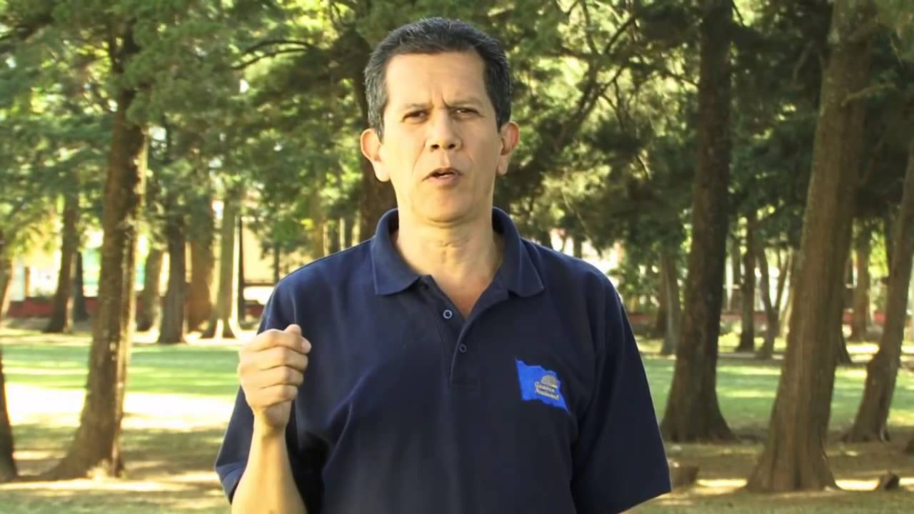 JOSE MANUEL ECHANDI HD720p H 264 AAC - YouTube