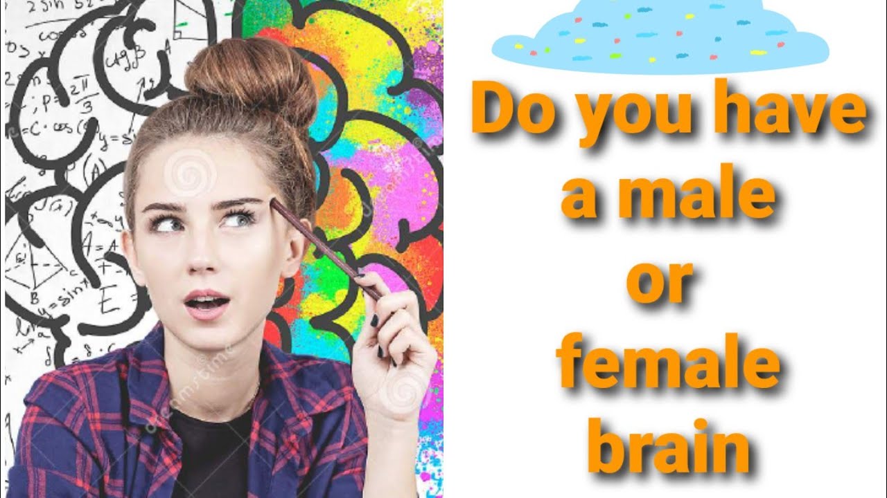 Do you have a male or female brain?♡/Personality test/KP tests - YouTube