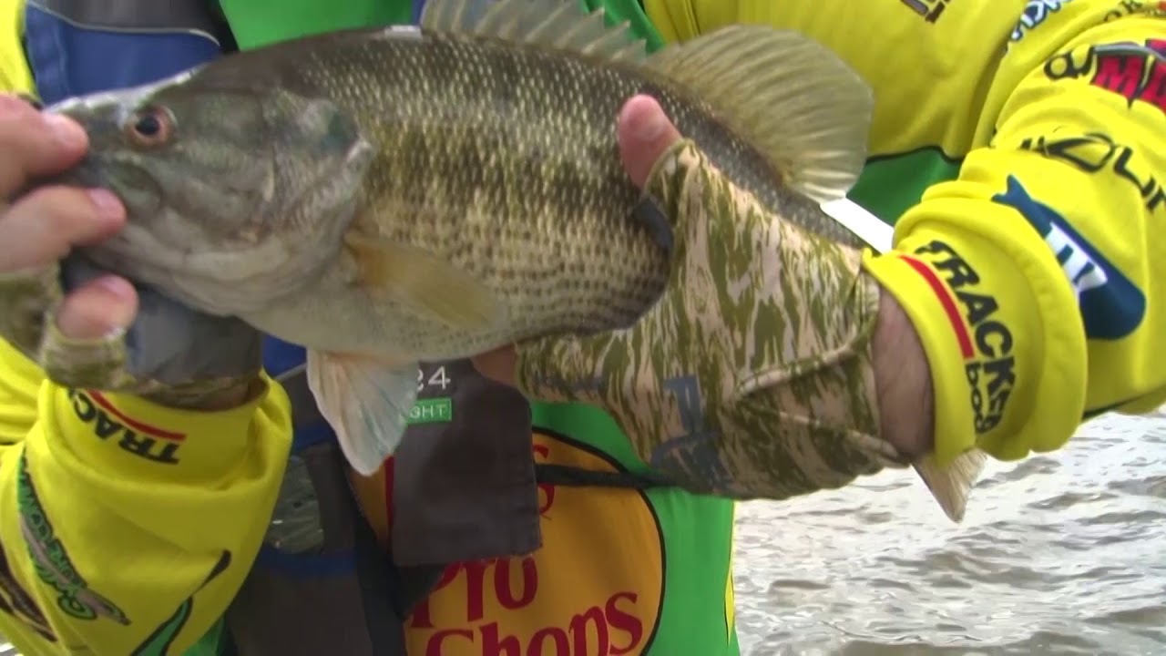 Cranking Giant Spotted Bass on the Coosa River System - YouTube