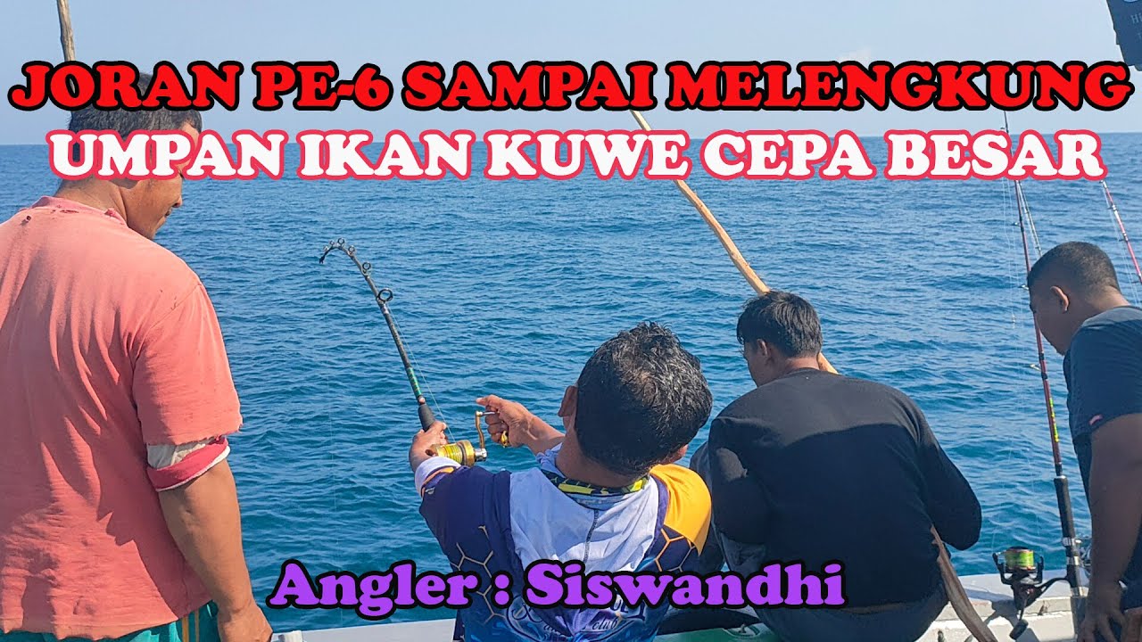 1 EKOR IKAN KUWE CEPA BESAR DILAHAP IKAN MONSTER - SPOT TANJUNG LAYAR ...